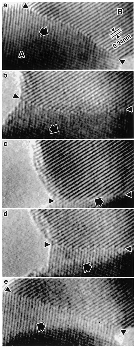 High Resolution Image Of Deformation Of A Gold Twin Boundary Download Scientific Diagram