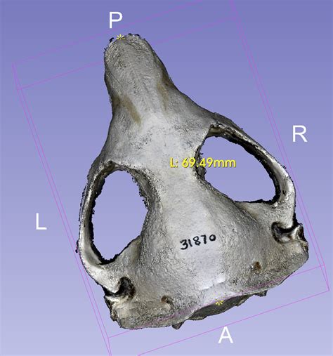Add Option To Export Objs Using A Single Material · Issue 1525 · Opendronemapodm · Github