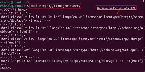How To Install And Use Curl On Ubuntu 2404 Linux Genie