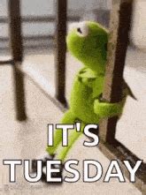 Happy Tuesday Funny Sayings