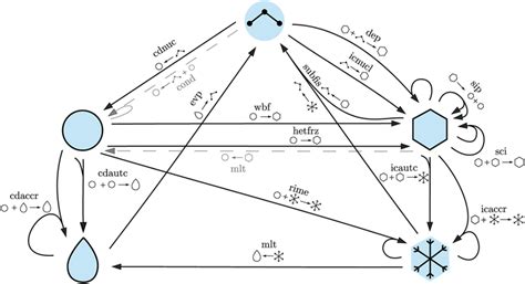 Schematic Of The Cloud Microphysical Processes Included In The Download Scientific Diagram