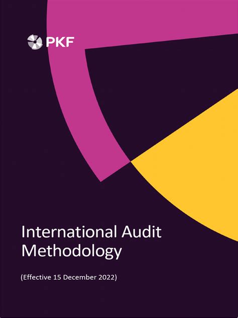 International Audit Methodology Pdf Audit Financial Audit