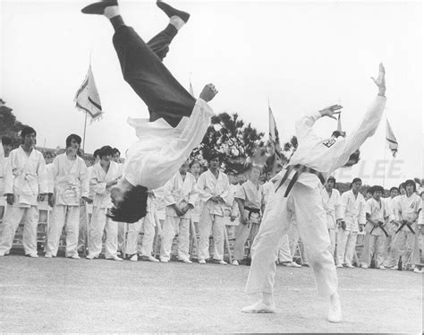 Bruce Lee Side Kick
