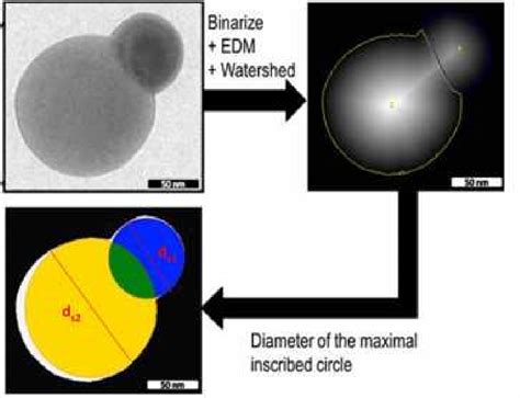 Principle Of The Method Used To Determine The Primary Particle Size Ds Download Scientific