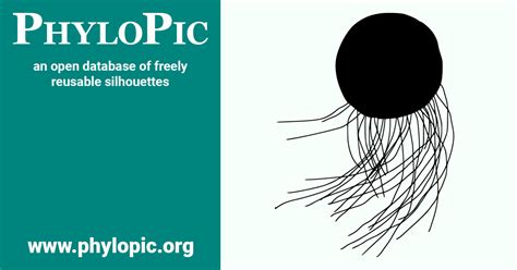 Methanococcus Maripaludis Cc0 1 0 Phylopic