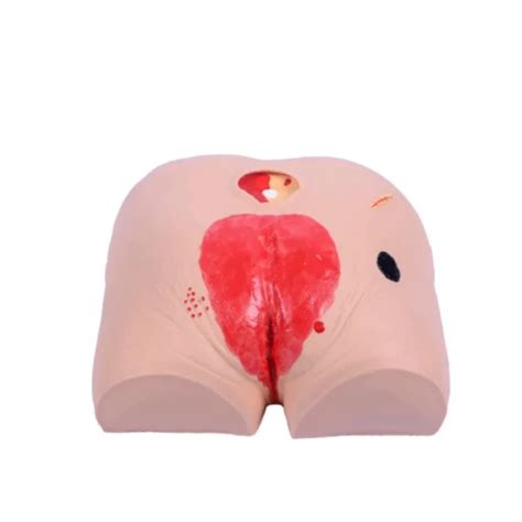 Medical Science Teaching Advanced Decubitus Ulcer Care Nursing Training