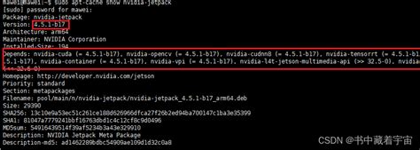 jetson nano的yolov8的tensorrt加速部署 nvidia边缘端视觉部署 csdn专栏