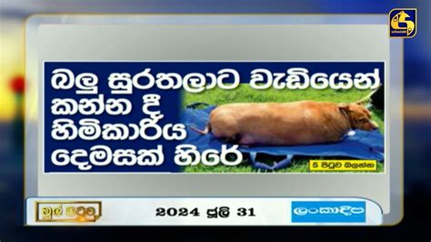 බදු සුරතලාට වැඩියෙන් කන්න දී හිමිකාරිය දෙමසක් හිරේ Youtube
