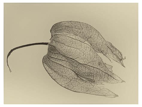 15 Duncan Souter Abbey Camera Club