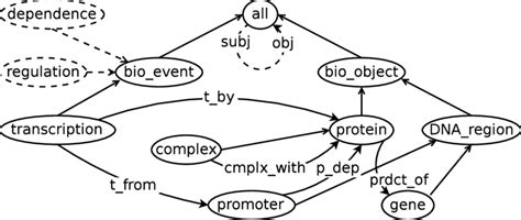 Fragment Of An Ontology Of Biological Interactions Lexical Layer In