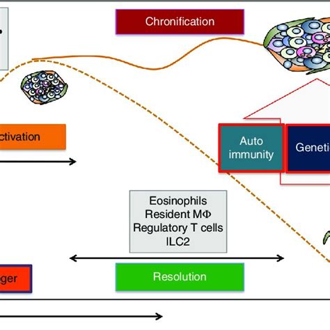 Algorithm For Management Of Fistulating Crohns Disease Download