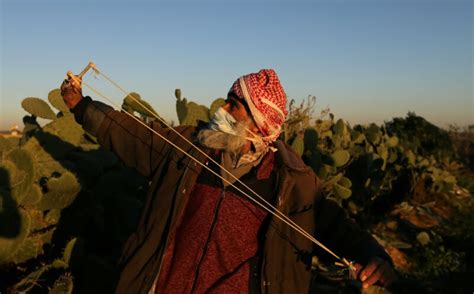 Prioritizing Palestinian Self Determination Is Long Overdue The Cairo