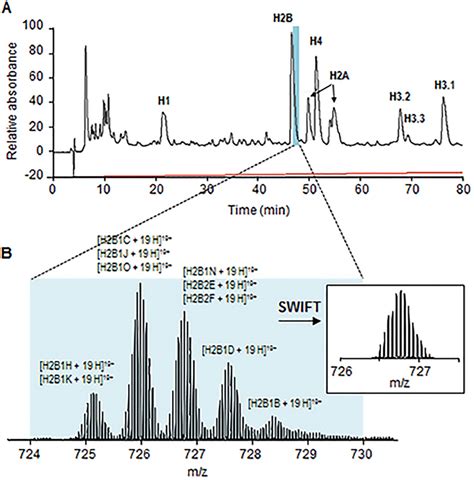 Electron Capture Dissociation Top Down Msms Of H2b Isoforms A Download Scientific Diagram