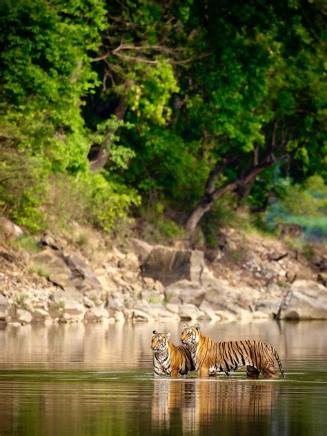 Shefiq Basheer Ahammed Shefiqbasheer • Instagram Photos And Videos