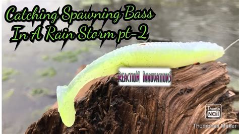Spring Showers Catching Spawning Bass Ep 2 Youtube