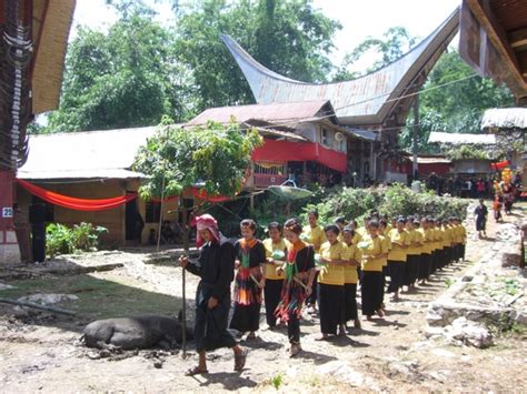 이런 문화도 있다고 세계의 곳곳의 다양한 문화를 알아보자 용인학생종합뉴스