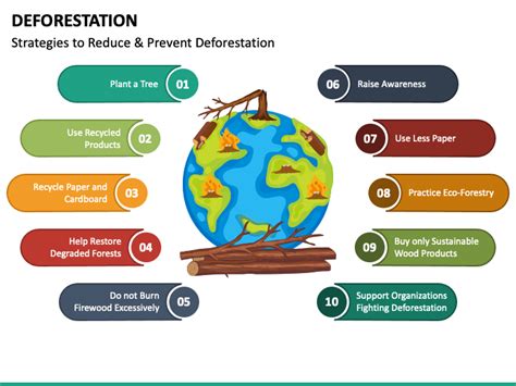 Deforestation Infographic Video