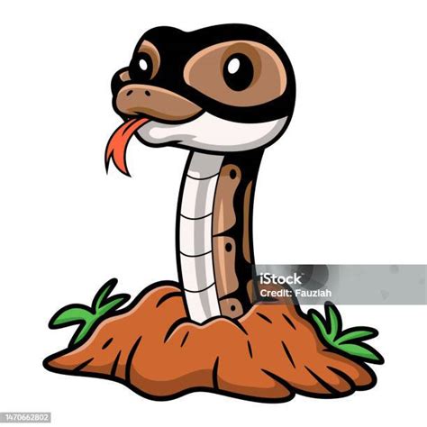 Kartun Ular Python Bola Lucu Keluar Dari Lubang Ilustrasi Stok Unduh Gambar Sekarang Alam