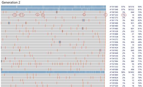 The Strange Memory Leak In Net 8 Improve And Repeat