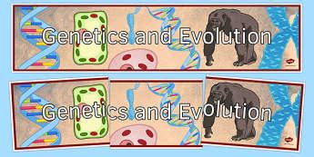 Inheritance And Evolution Ks3 Biology Beyond Page 2