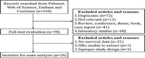 Association Of Human Telomerase Reverse Transcriptase Promot