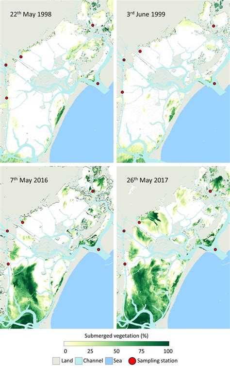Spatial Distribution Of Macrophyte Coverage Seagrasses And