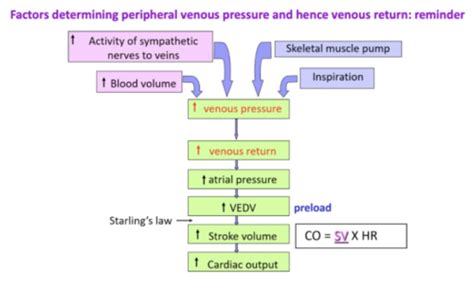 Preload Flashcards Quizlet