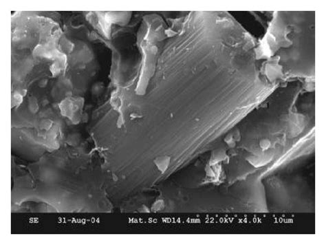 A Optical Micrograph Of The Composite B Sem Micrograph With Download Scientific Diagram