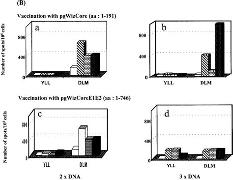 Influence Of Flanking Genes On The Scope Of Epitope Recognition