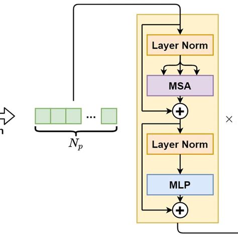 The Spatial Transformer Encoder Download Scientific Diagram