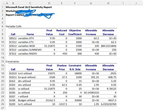 Microsoft Excel 160 Sensitivity Report Worksheet