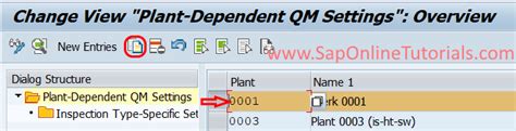 How To Maintain Settings At Plant Level In Sap Hana Qm Sap Tutorials