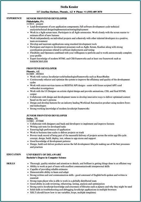 Magento Developer Resume Summary Resume Resume Examples Mw9pr66vaj