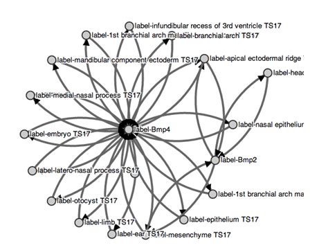 Attribute Implication For Genes Bmp2 And Bmp4 In Ts17 Download