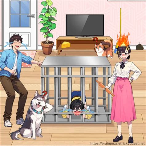 All Levels Solutions Brain Puzzle Tricky Quest Complete Walkthrough