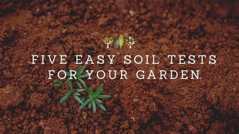 Five Easy DIY Soil Tests THE HOMESTUD