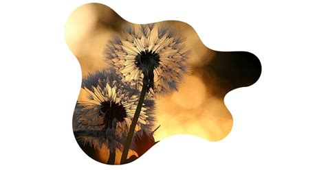 Create Clipping Mask Illustrator Retouching Labs