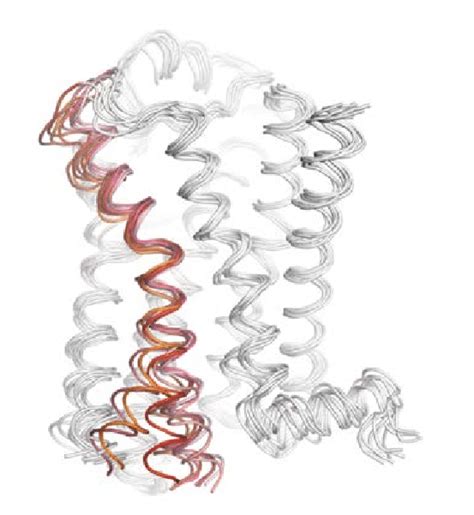 5 Molecular Simulation Of Gpcr Motions The Figure Shows A Molecular Download Scientific Diagram