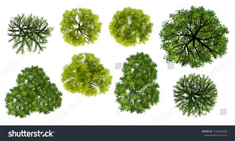 Set Watercolor Tree Top View Landscape Stock Illustration