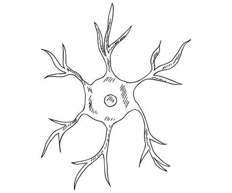 Synapse Drawing Illustrations Royalty Free Vector Graphics And Clip Art