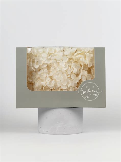 Гортензія стабілізована на гілці біла купити в Україні за низькою ціною • Dfb Elements