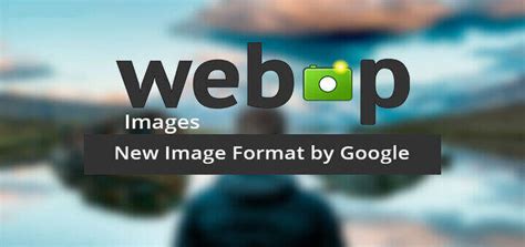 Using The WebP Image Format To Speed Up Websites SEO Melbourne