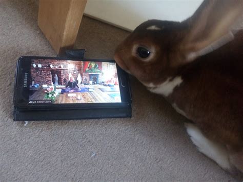 Moving Yoga Online Yoga Life Studio