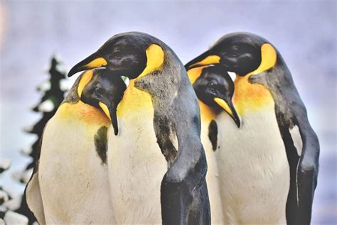 Linux User And Group Management The New Stack
