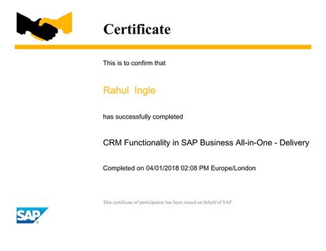 Crm Functionality In Sap Business All In One Delivery Pdf
