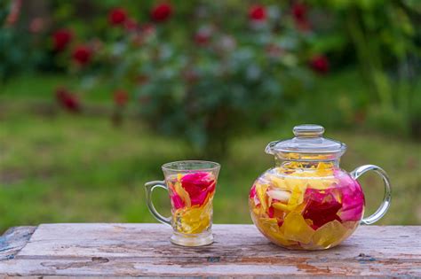 나무 테이블에 여름 정원에서 유리 주전자와 머그잔에 노란색 분홍색과 붉은 꽃잎 장미에서 아름답고 향기로운 차 클로즈업 0명에 대한 스톡 사진 및 기타 이미지 Istock