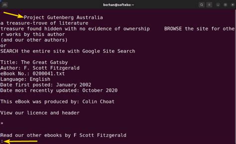 The Cat Command In Linux Practical Examples