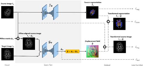 Figure 1 From Longitudinal Diffusion Mri Analysis Using Segis Net A
