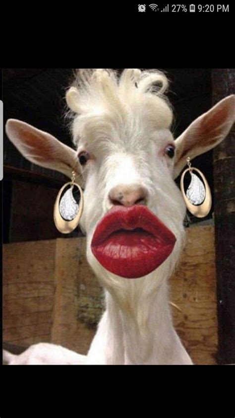 დიდი დიღომი სიყვარულის უბანი