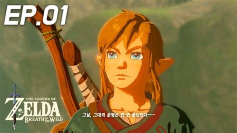 야숨 링크는 적응이 안 되네 [젤다 야숨 Ep 01] Youtube